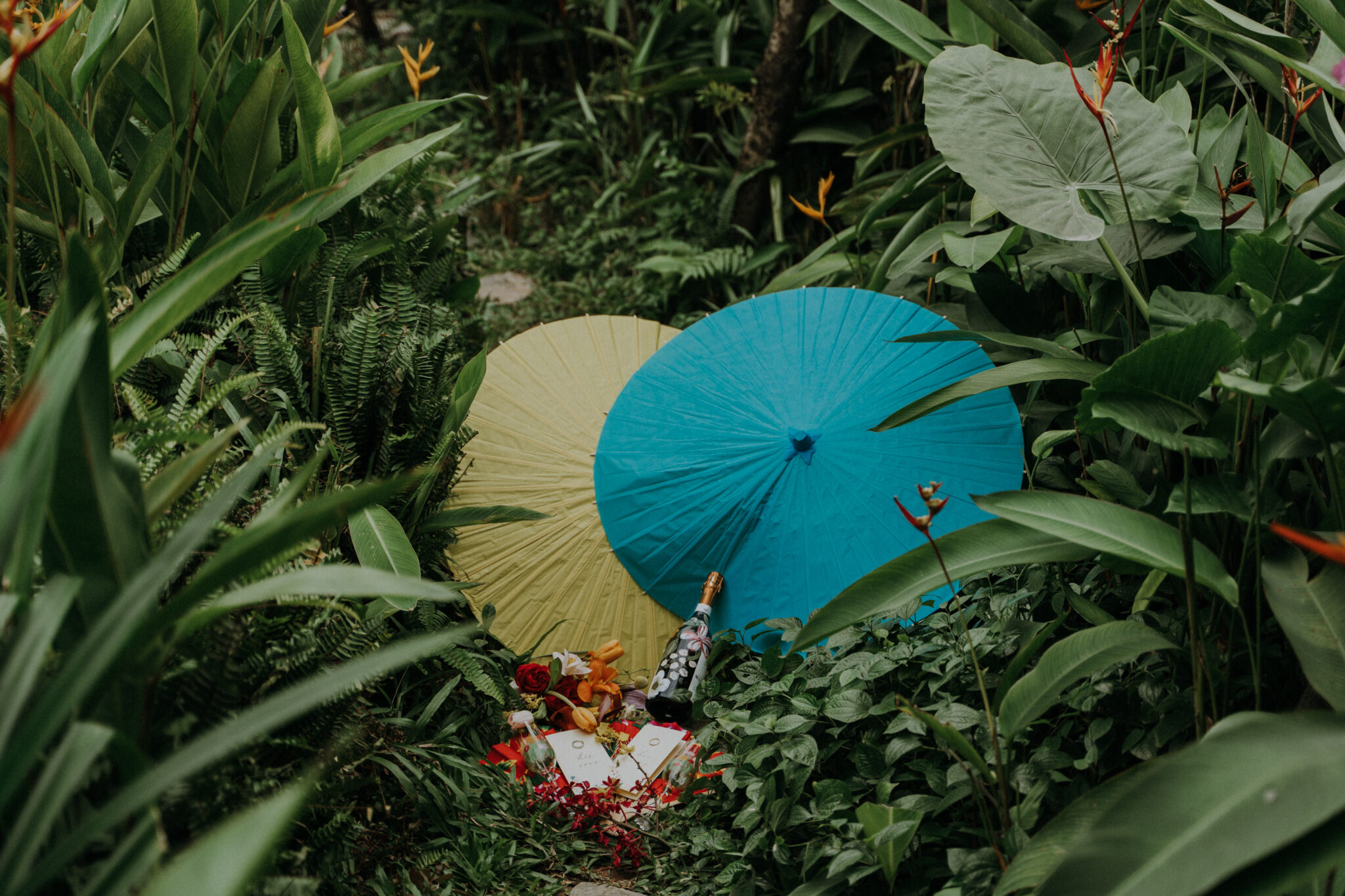 Cách Tổ Chức Một Đám Cưới Elope Tại Việt Nam - WIS